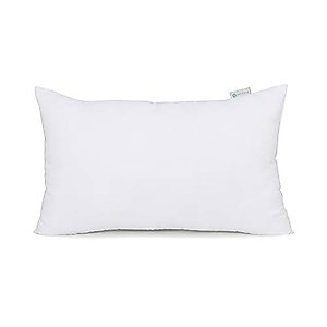 Acanva Throw Pillow Inserts, Couch Pillow Inserts with Hypoallergenic Polyester, 12" L x 20" W