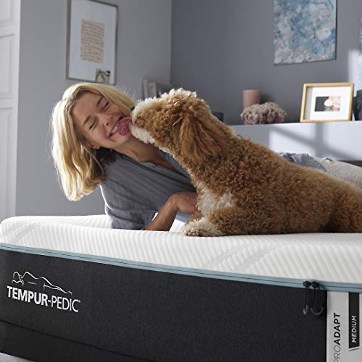 Tempur-Pedic ProAdapt 12" Spring and Memory Foam Supportive Mattress with Cooling Cover, Hybrid Memory Foam Mattress with Spring Coils, Queen