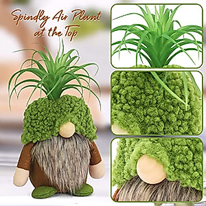 Succulent Air Plant Gnomes Summer Green Plush Gnomes with Slender Leaves Tomte Handmade Scandinavian Decor Cacti Nordic Dwarf Home Tiered Tray Shelf Sitter Decor Collection Garden Gift Cactus Lovers