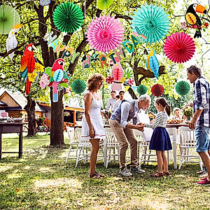 PAMISO Tropical Birds Party Supplies, Hanging Parrot Paper Honeycomb Decorations Paper Cutouts for Happy Birthday/Hawaiian/ Rainforest /Summer Party