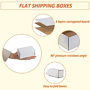 HORLIMER Shipping Boxes Set of 50, Small Corrugated Cardboard Box Literature Mailer, (White, 4.6" x 2.2" x 2.2")