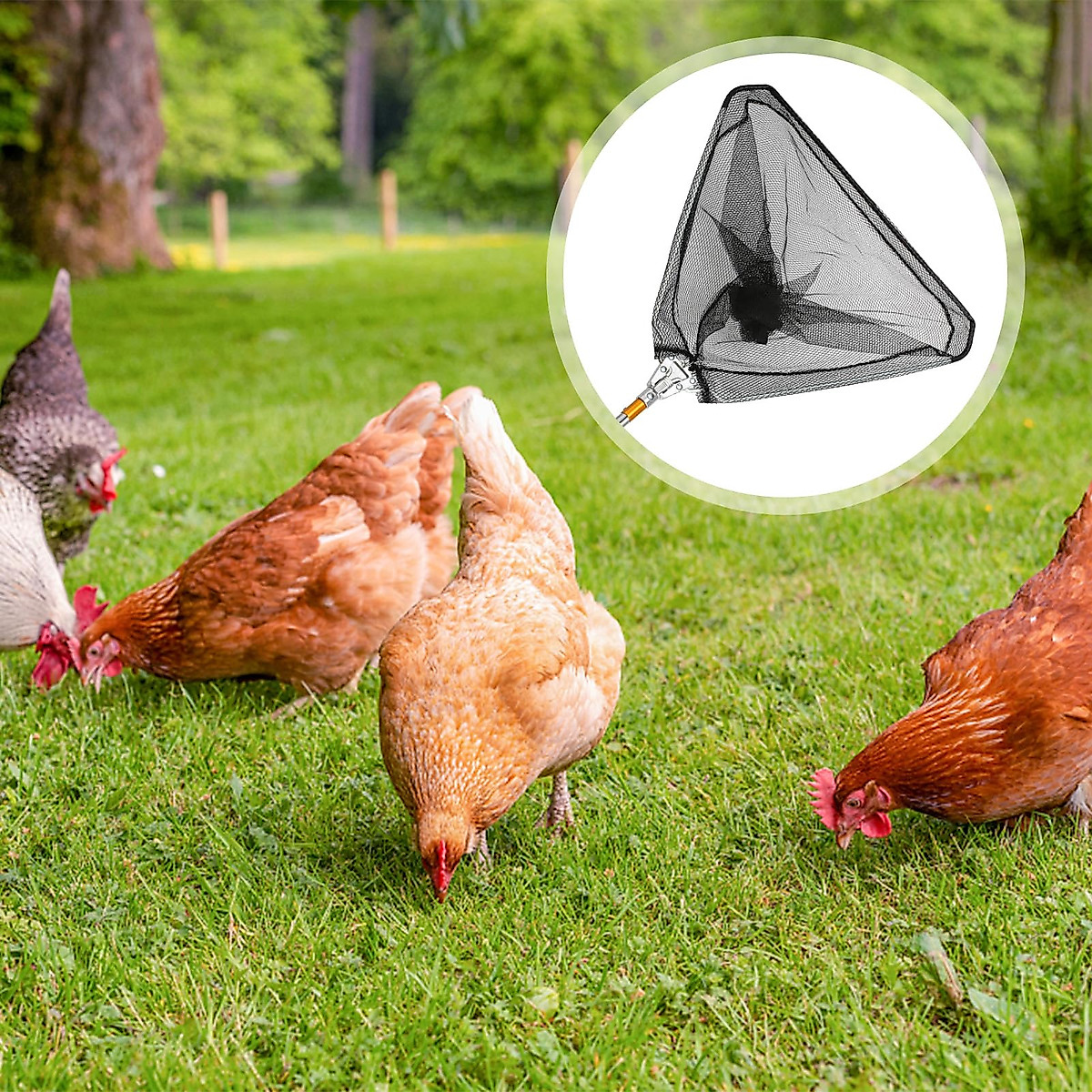 Scalable Chicken Catcher Leg Hook Tool Kit Chicken Net Catcher Small Animals Catching Net Suitable for Catching Fish, Outdoor Poultry