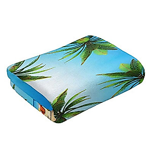 VunKo Summer Green Frog Kitchen Microfiber Hair Hand Dish Towel Home Soft Highly Absorbent Decorative Dishcloth for Bathroom Beach Hotel Gym Spa Yoga 16 x 28 in