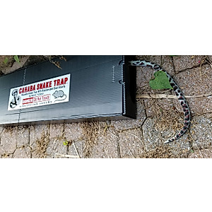Snake Trap Large, (Foldable, Reusable 32"x10"x 3") with (1) Catch Insert, Commercial Grade, Made of Strong Corrugated Plastic in Alabama, USA