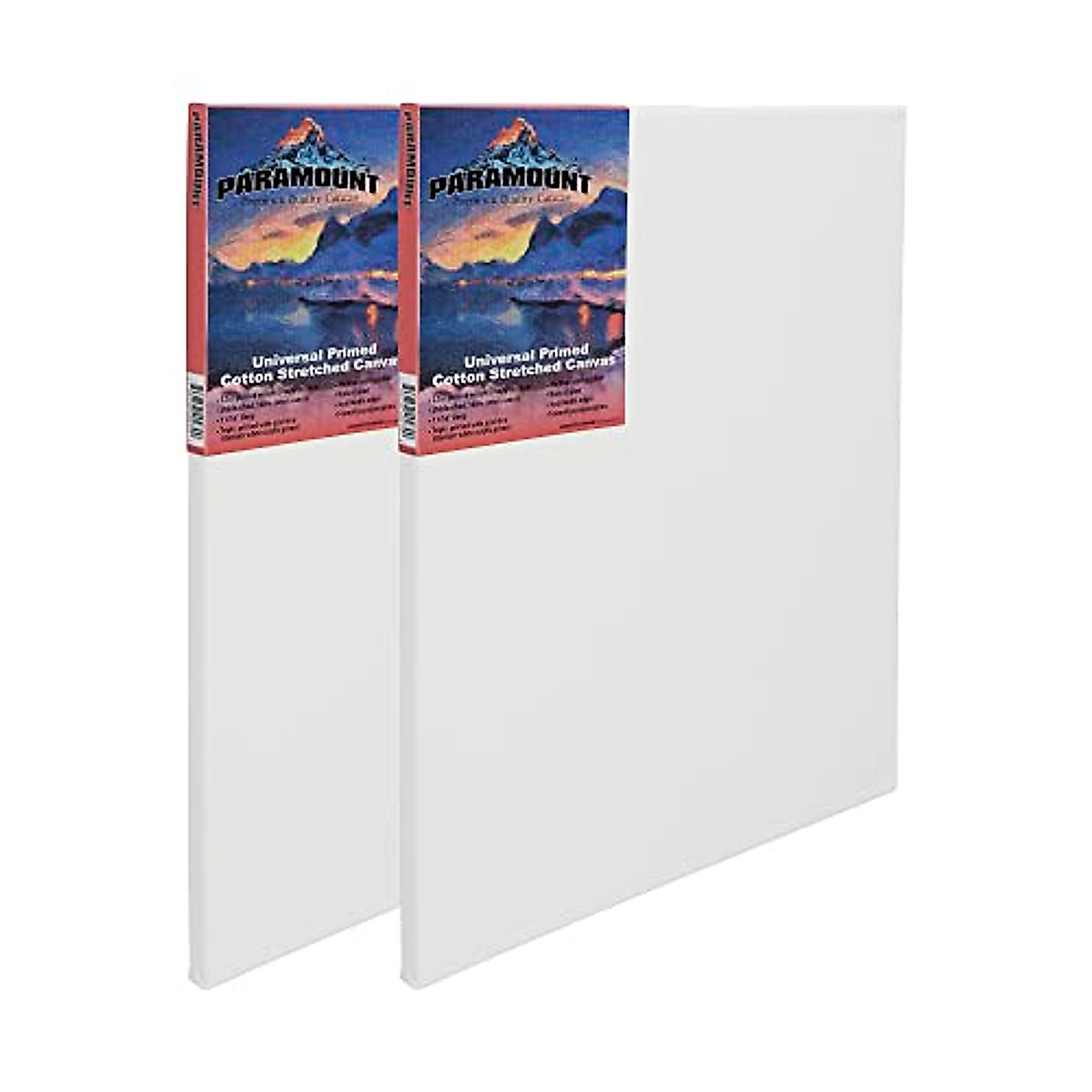 Paramount Pre-Stretched Canvas for Painting- 2-Pack, 8x10" Triple Primed White Canvases- 11/16" Deep, 100% Cotton Stretched Canvas for All Media, Medium Tooth, Back-Stapled, 12oz Primed Weight