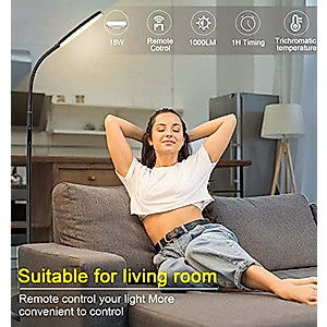 LED Floor Lamps Dimmable with Timer and Dimmer/Remote and Touch Control, 18W Bright Modern Standing Sofa Light, Adjustable Gooseneck Task Lighting for Reading Living Room Bedroom Office (Black)
