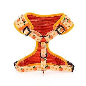 Dog Harness and Leash Set, Adjustable Dog Harness, Dog Leash, No Pull No Choke Puppy Harnesses for Walking Training for Small, Medium, Large Pet