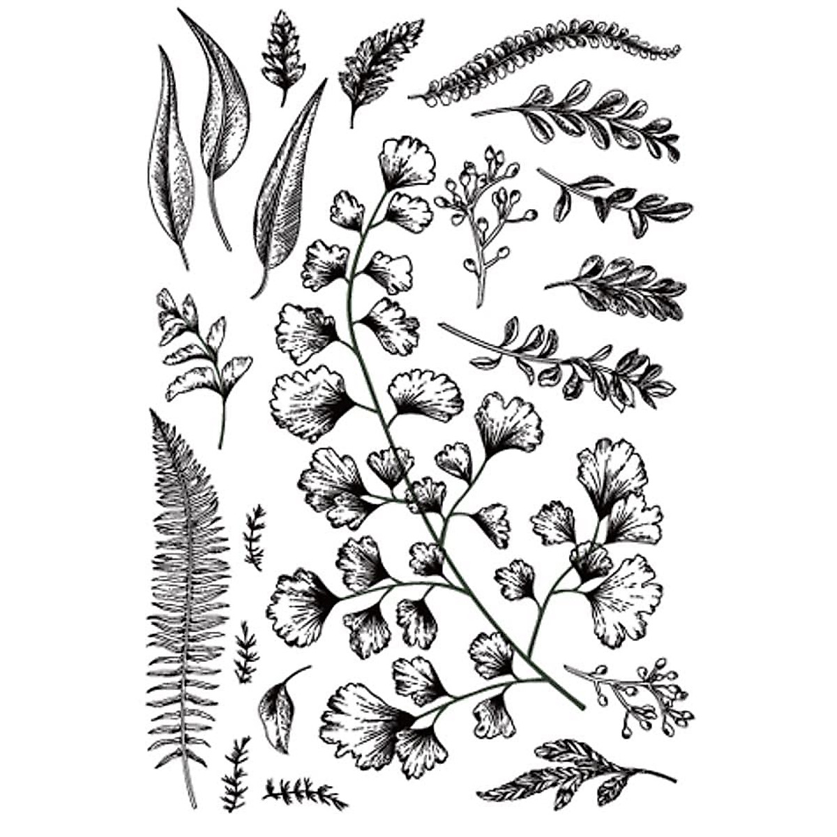 Forever Stamps Silicone Clear Stamps - Plants Botanic Pattern with Arylic Block Set for Card Making Decoration and DIY Scrapbooking ZENTA