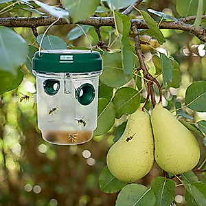 2 Pack Wasp Traps Outdoor, Wasp Bee Catcher for Outside, Yellow Jacket Killer, Hornets Trap for Garden