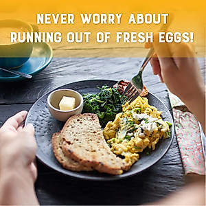 Judee’s Dried Whole Egg Powder - 11 oz - Baking Supplies - Delicious and 100% Gluten-Free - Dehydrated Eggs Powder for Breakfast, Baking, and Camping Meals - Simplifies Outdoor Cooking Preparation