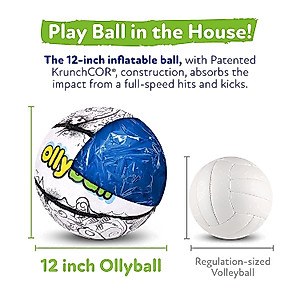 Ollyball Collectors Quest Indoor Coloring Ball