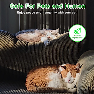 2 Pack Cat Calming Collar for Cats Pheromone Collar Efficient Relieve Reduce Anxiety Stress Pheromones, Calm Relaxing Comfortable Collars, Adjustable Breakaway Design (Purple)