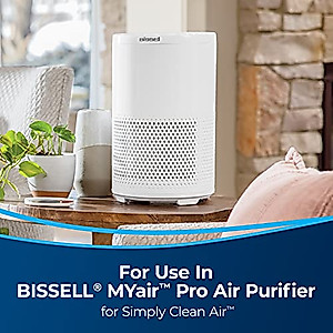 BISSELL® MYair™ Pro Replacement HEPA and Carbon Filter, 3069