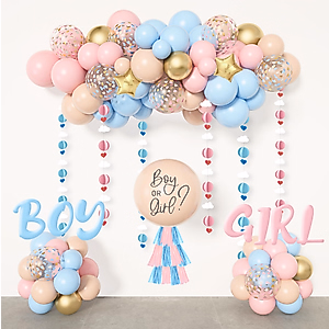Ouddy Party Gender Reveal Decorations, Pastel Pink and Blue Nude Confetti Balloons Arch Kit Star Hanging Cloud Garland Paper Tassels He or She Boy or Girl Gender Reveal Baby Shower Party Supplies