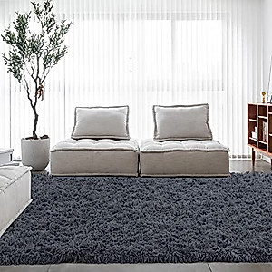 HOMBYS Fluffy Large Area Rug for Living Room 8x10 Feet, 2.4" Plush Indoor Carpets for Bedroom Childern Nursery Teens Room, Super Soft Shaggy Furry Rugs Machine Washable Home Decor