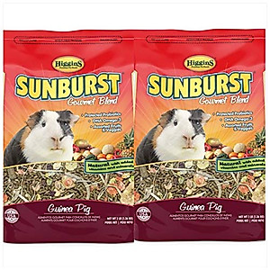 Higgins 2 Pack Sunburst Gourmet Guinea Pig Food. 6 Pounds Total.