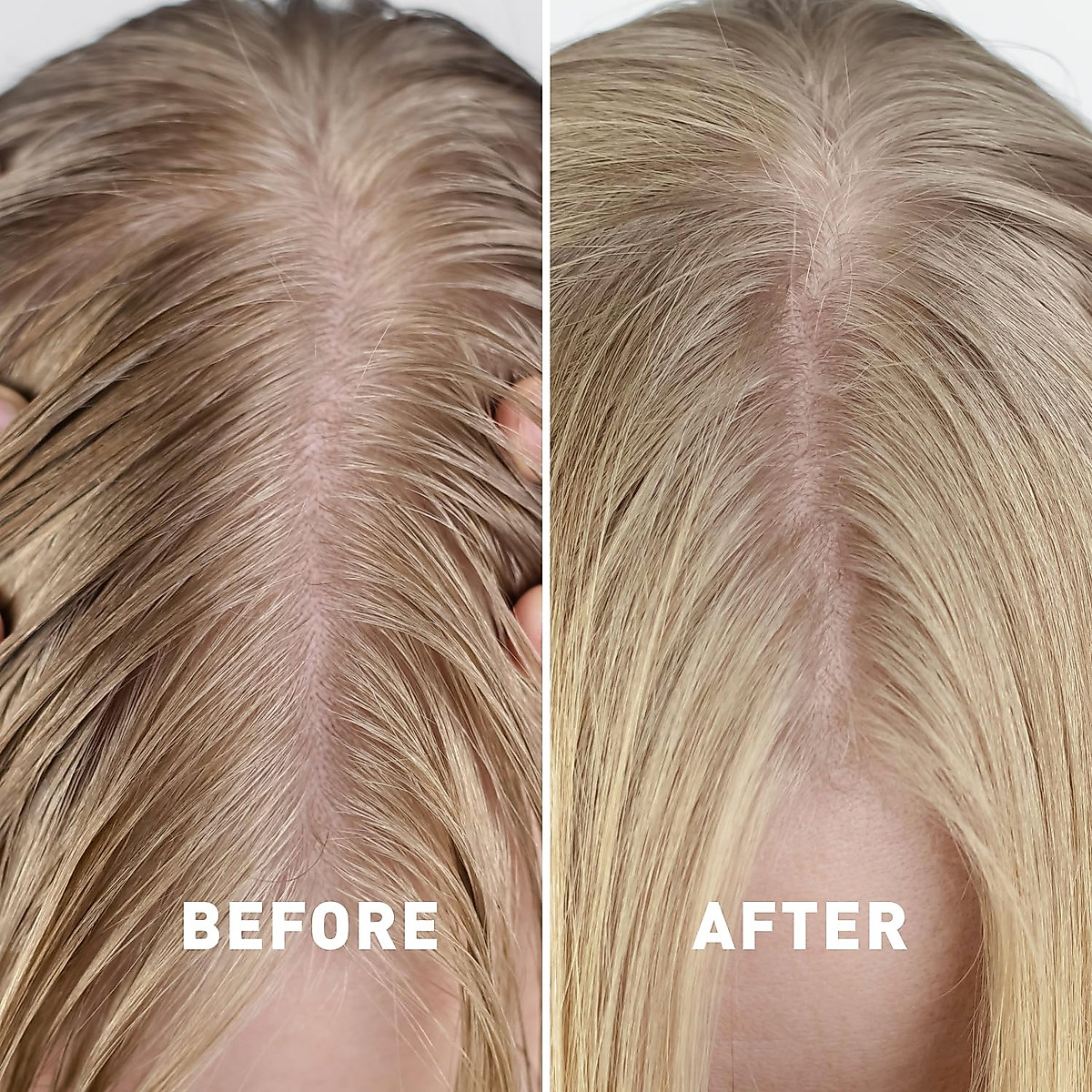 Just Nutritive Oily Hair Shampoo | Control Oily and Greasy Residue | Greasy Hair Shampoo for Men and Woman | Natural Deep Cleanser for all Hair Types 16 Fl Oz