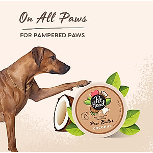 PET Head On All Paws Coconut Paw Butter 1.4 oz. Nourishing Paw Balm, Moisturizes Paws and Noses to Leave Them Soft and Crack-Free, Lickable, Gentle Formula for Puppies. Made in USA