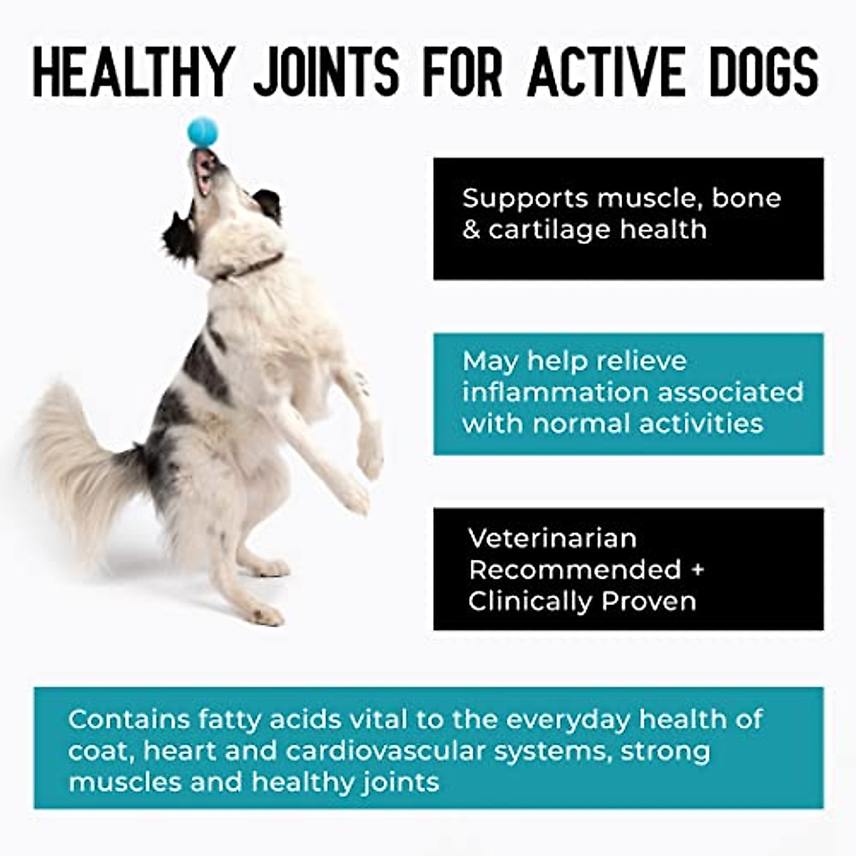 ACTIVPHY Hip + Joint Supplement with Glucosamine, MSM, and Blue Green Algae Extract, Vet Formulated, Anti-Inflammatory, Arthritis Relief, & Antioxidants, Made in USA, For Dogs, 75 ct