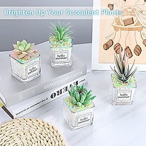 Glow in The Dark Rocks Outdoor Small Luminous Pebbles Fish Tank Stones Glow in Dark Rocks for Aquarium,Bonsai,Cactus,Vase Fillers,150g/0.33lbs(Color,3-5mm)