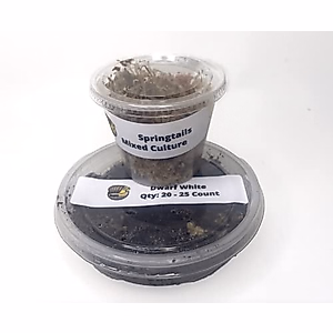 Bugzy Bugs Springtails & Dwarf White Isopods Live Bioactive Clean Up Crew Bundle Reptile Amphibian Food Bundle