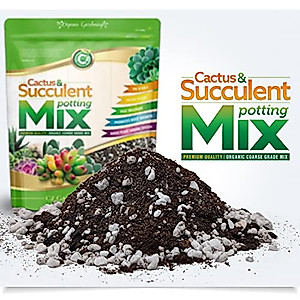 Organic Cactus & Succulent Mix - Made in USA with Premium Grade Ingredients - Coco Peat Humus • Perlite • Sand • Horticultural Charcoal to Filter Toxins and Improve Plant Growth