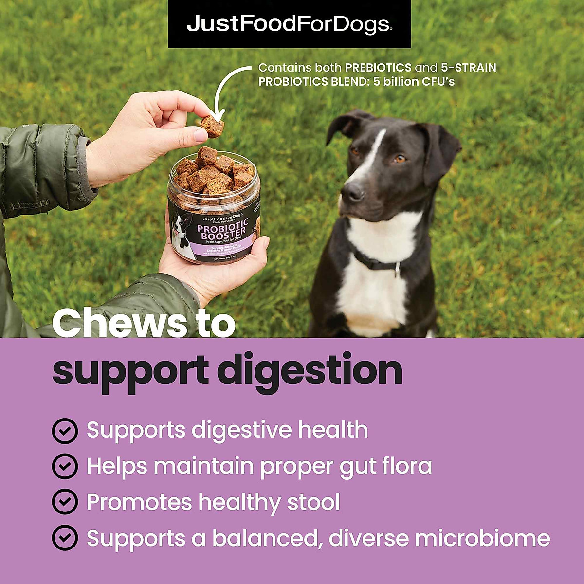 JustFoodForDogs Probiotic Booster Gut Health Soft Chews Supplement for Dogs, Digestive Health Support, Diarrhea, Human Grade Ingredients - 45 Count