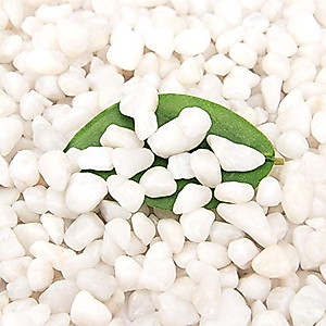 [18 Pounds] White Pebbles Aquarium Gravel River Rock,Natural Polished Decorative Gravel,Garden Ornamental Pebbles Rocks,White Stones,Polished Gravel for Landscaping Vase Fillers White Mini (White)