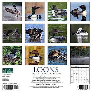 Loons 2021 Wall Calendar