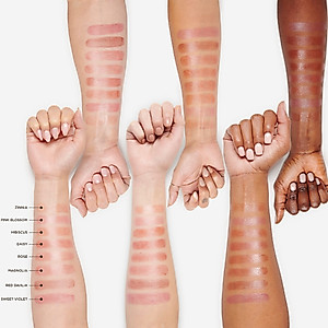 Burts Bees 100% Natural Tinted Lip Balm, Hibiscus with Shea Butter & Botanical Waxes 1 Tube