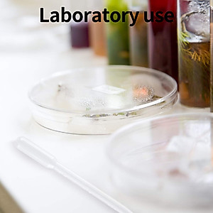 Young4us Petri Dish Set with Lids, 12 Pack Sterile Petri Plates in 3 Sizes with 12 Pack 3ml Plastic Dropper Pasteur Pipettes for Lab, Experiment, Biology, Microbiology Studies (Pack of 24)