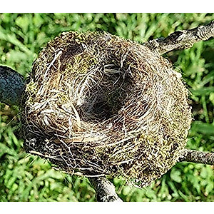 Alpaca Fiber Bird Nesting Ball with Refill Fiber - Comfort for your wildlife