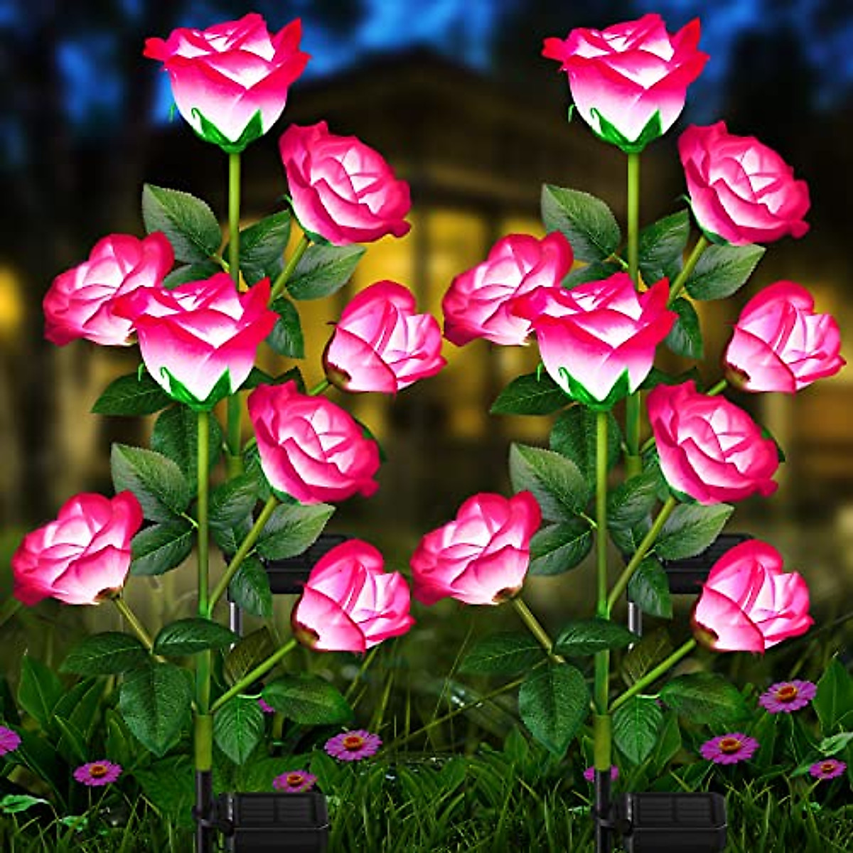 BUCASA Solar Garden Lights Outdoor 4 Pack, Upgraded Waterproof Solar Powered Outdoor Lights with 16 Rose Flowers, Bright Color Changing Solar Flower Lights for Pathway Walkway Patio Yard Lawn