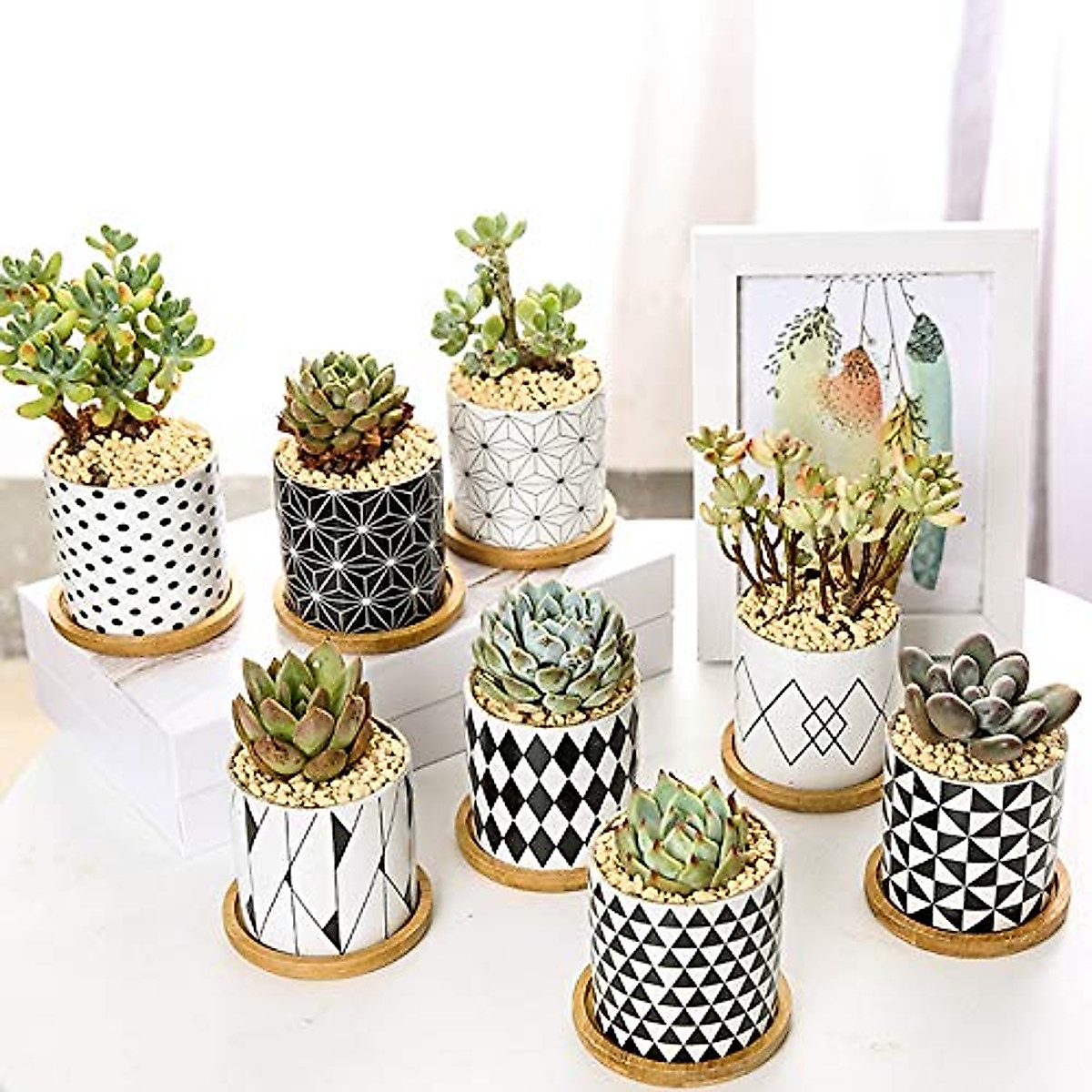 FURLOU Pottery Planter,Small Plant pots,Geometric Pattern Ceramic Succulent Small Ceramic Pot Ceramic Flower Green Plant Container Planter Classic Round Shape Planter Beautiful Scenery Flower