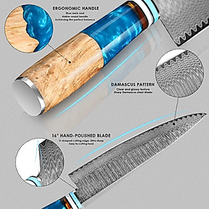 KEENZO Damascus Chef Knife 8 inch, Professional Kitchen Knives set, Sharp High Carbon Stainless Steel Cooking Knife, Ergonomic Blue Resin & Natural Wood Handle with Gift Box for Home & Restaurant