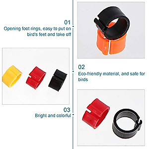 100Pcs Chicken Birds Leg Rings: Poultry Leg Bands, Chicken Birds Identify Clip on Leg Rings Band (Random Color)