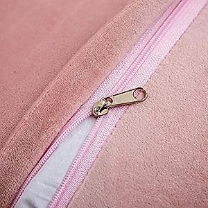 WLNUI Set of 2 Pink Fluffy Pillow Covers New Luxury Series Merino Style Blush Faux Fur Decorative Throw Pillow Covers Square Fuzzy Cushion Case 18x18 Inch