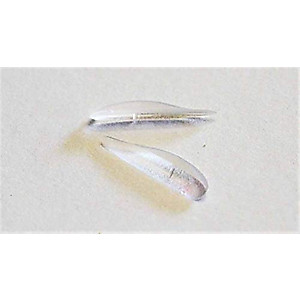 Lower Denture Stabilizers