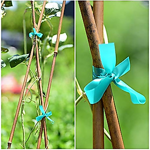 TELENT OUTDOORS 2 Pcs 150 Feet x 1/2" Wide Stretch Tie Tape Green Plant Garden Tie, Garden Vinyl Stake for Branches, Climbing Planters, Flowers