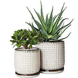 Set of 2, 6 Inch & 4 Inch Ceramic Indoor Planter Pots with Drainage Hole and Saucer, Beaded Design Flower Pots, Smoked White, 27-H-B-SW-ZS