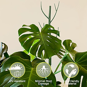 Fetanten Monstera Plant Support, 43 Inch Plant Support Stakes Moss Pole for Indoor Plants with Orchid Clips Twist Ties and Plant Strap, Perfect Plant Stakes for Climbing Plant (6 Pack)