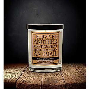 I Survived Another Meeting That Should Have Been An Email - Funny Candles Gift for Women, Men, Funny Gift for Coworkers, Boss, Friendship Gifts, Work from Home Gift, Boss Lady Gifts for Women, Besties