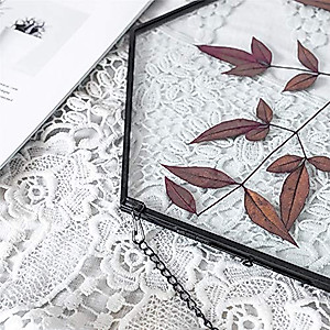 NCYP Medium Hanging Black Hexagon Herbarium Brass Glass Frame for Pressed Flowers, Dried Flowers, Poster, Double Glass, Side Length 5.8 inches Floating Frame, Glass Frame Only