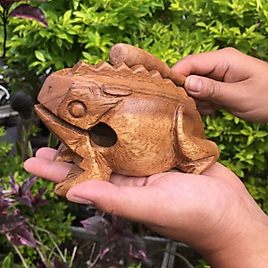 Cozinest Medium 6" Wood Frog Guiro Rasp Percussion Musical Instrument Tone Block Wooden Handcraft Percussion Instruments Products From Thailand Lucky Frog for Home Office Decor (Tan)