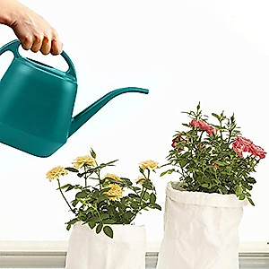 Fasmov Plastic Watering Can, 1-Gallon, Green