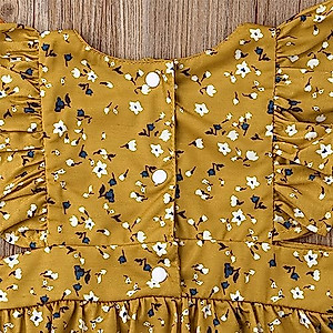 VISGOGO Kids Baby Girls Sister Matching Clothes Floral Romper Dress Headband Outfits Set (Romper, 0-3 Months)