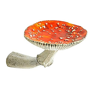 Mushroom Floating Shelves Cute Mushroom Room Decor, Creative Art Rack for Living Room Kitchen Bathroom
