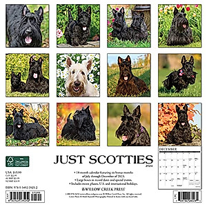 Willow Creek Press Scotties Monthly 2024 Wall Calendar (12" x 12")
