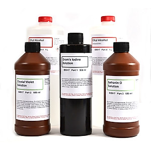 ALDON Innovating Science Gram's Stain Kit - Large