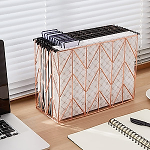 Y YOMA 12 Pack Decorative Hanging File Folders Letter Size Rose Gold File Folder Pretty Hanging Folder Organizer for Filing Cabinet Office Home with 1/5-Cut Adjustable Tabs, 3 Black Foil Design